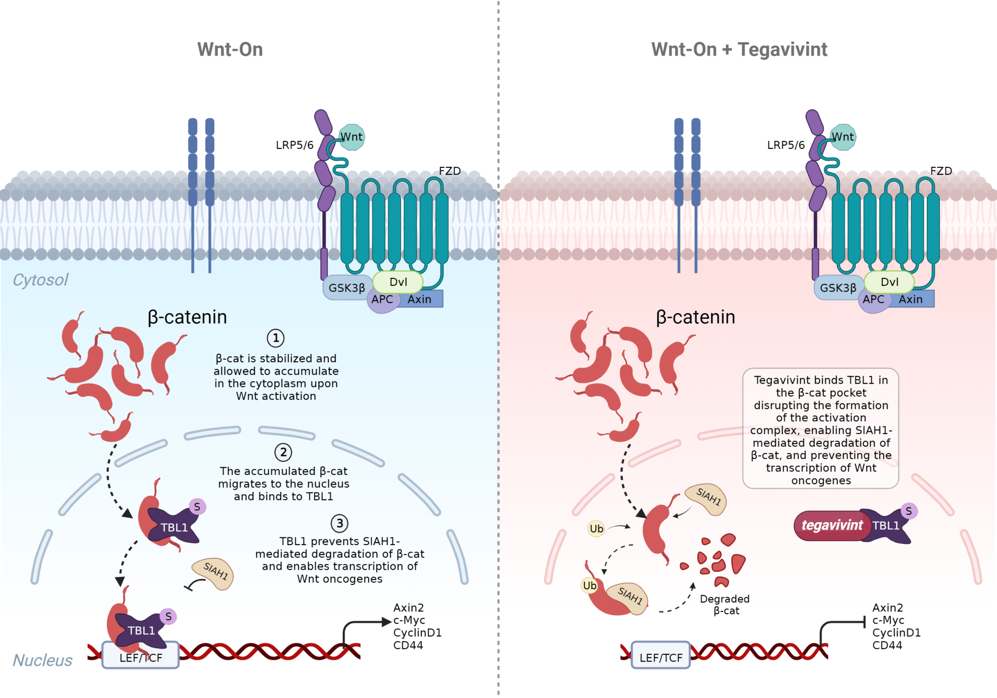 Our Science - Iterion Therapeutics